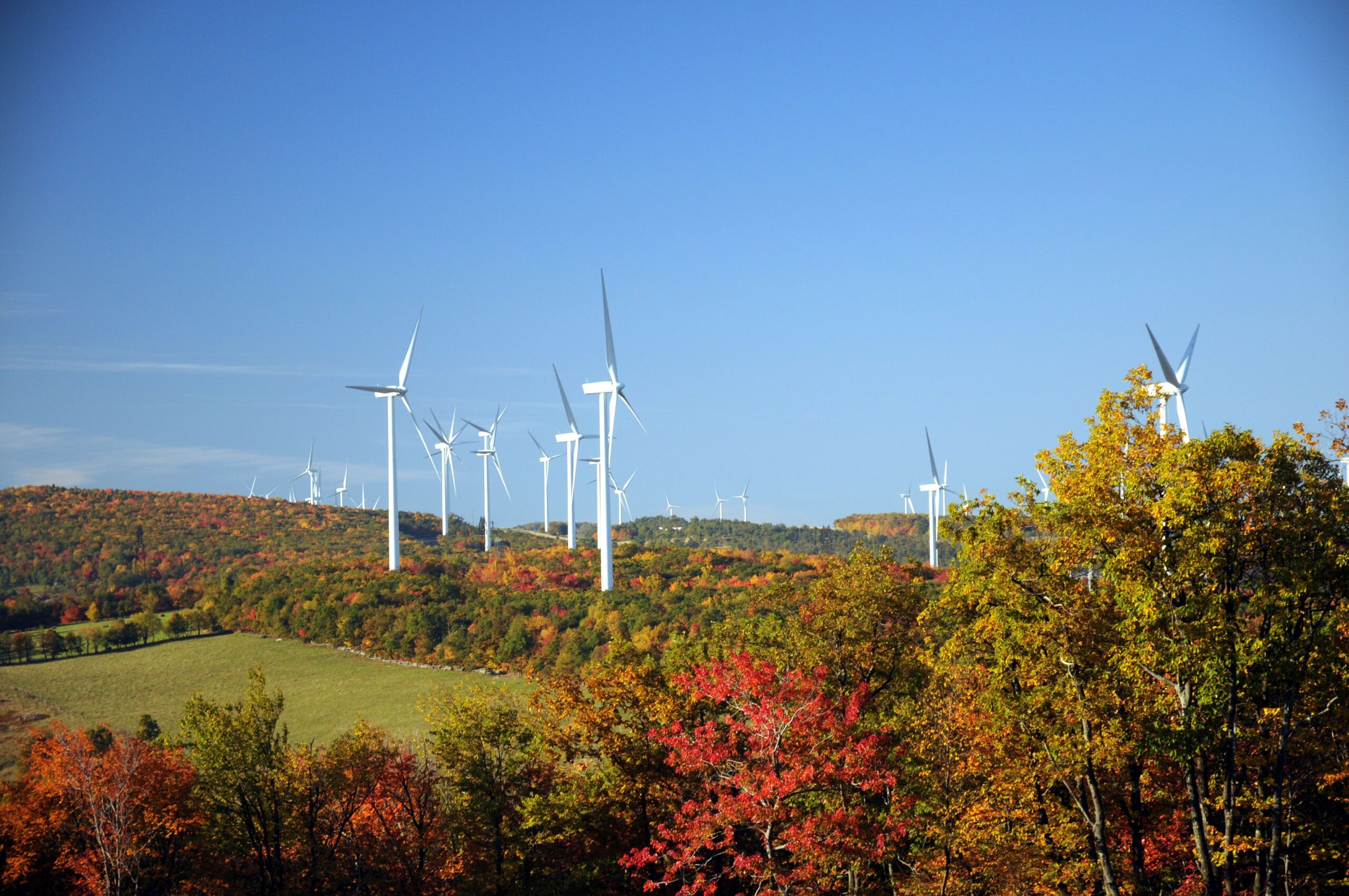 BIEE Seminar Series: A Review of Electricity Market Arrangements (REMA ...